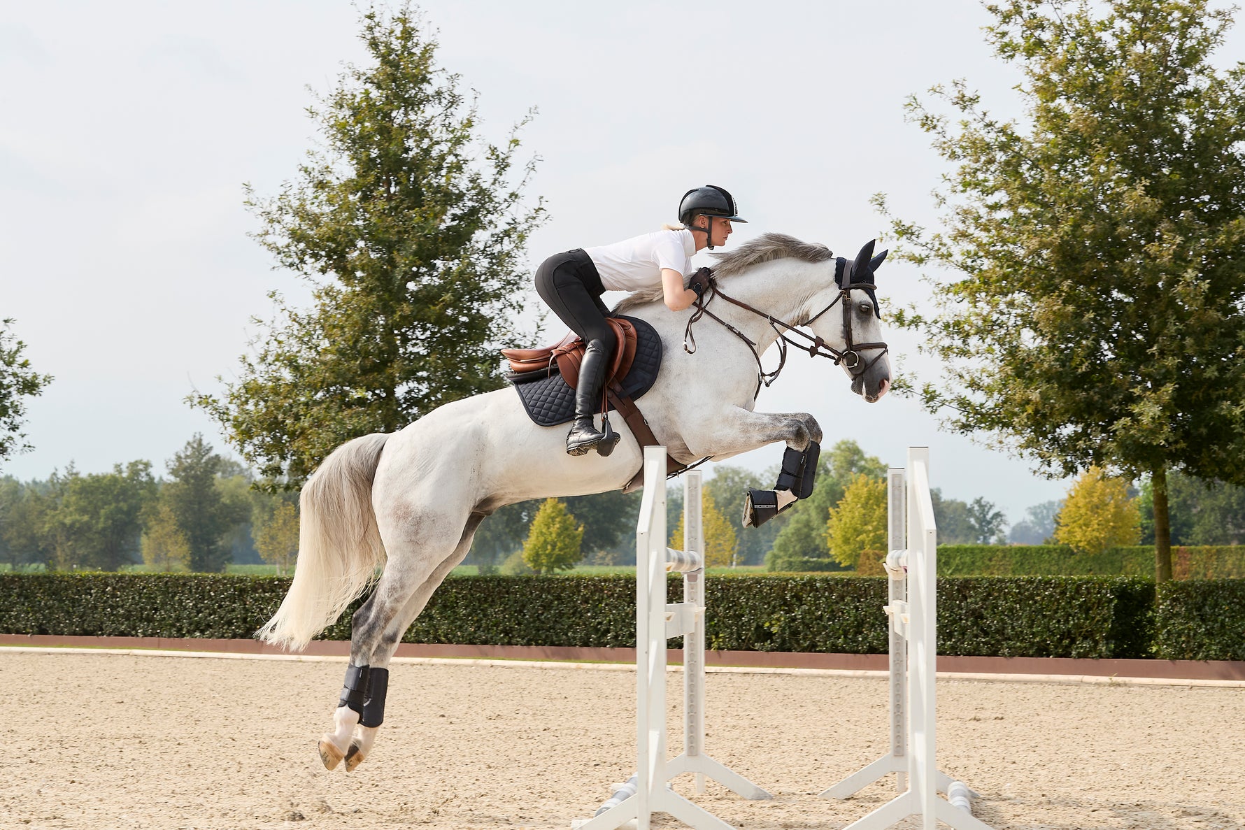 Kingsland Equestrian - official webshop