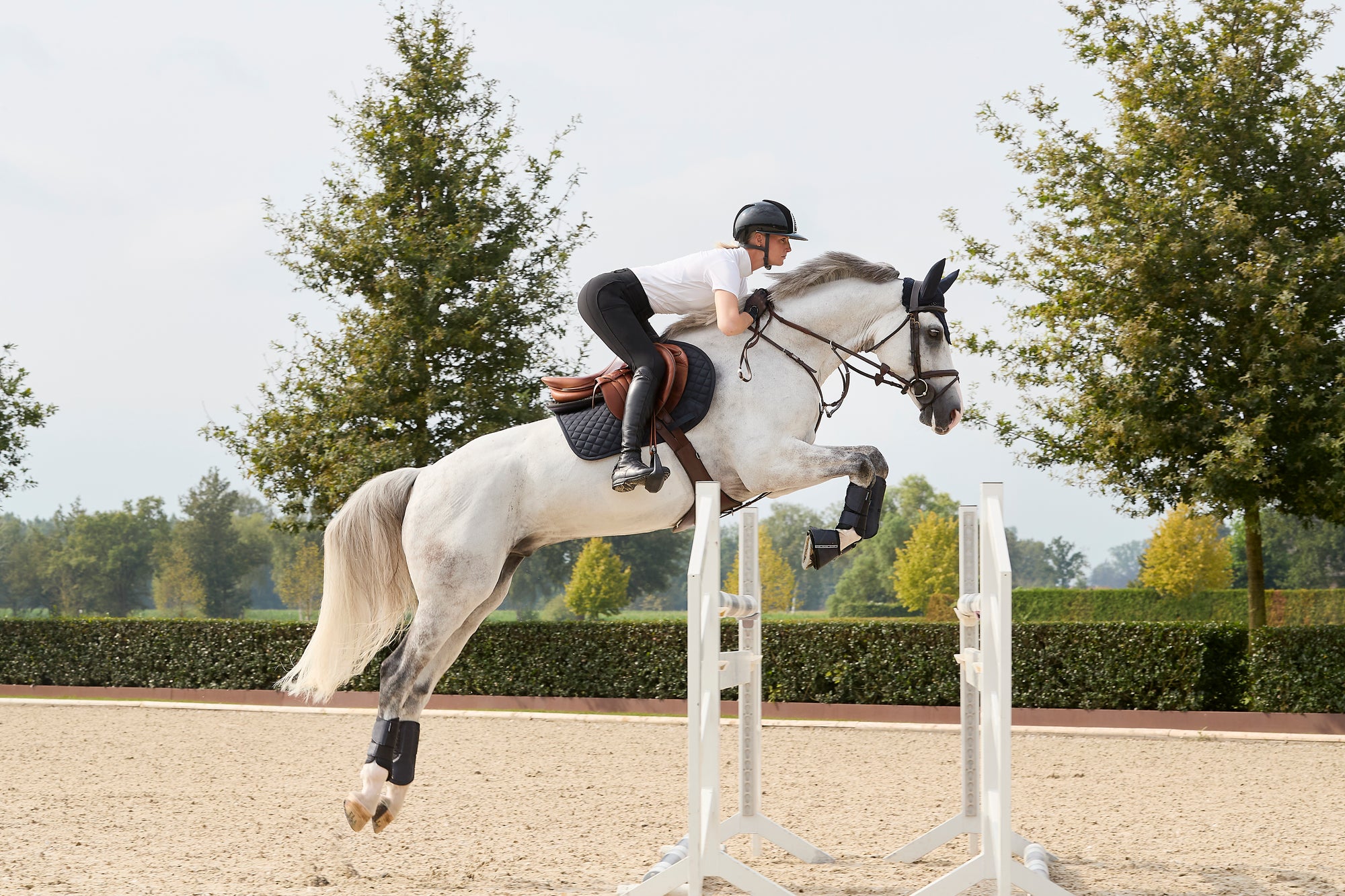 Kingsland Equestrian - official webshop