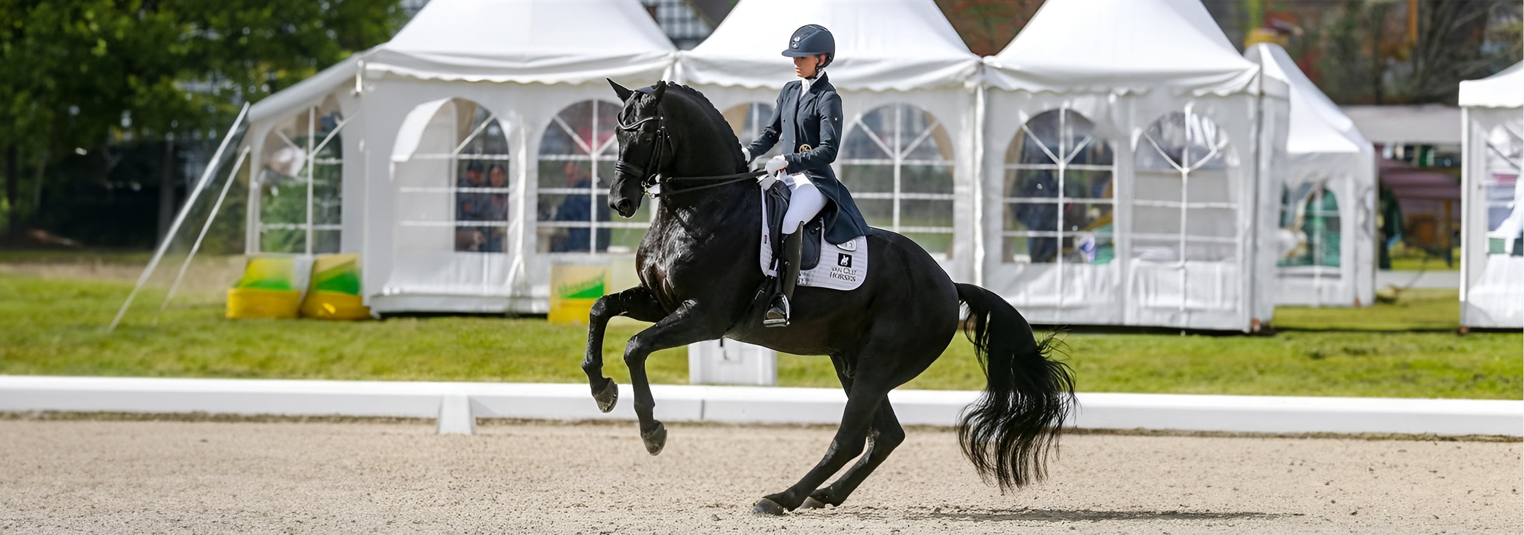 Kingsland Equestrian - official webshop